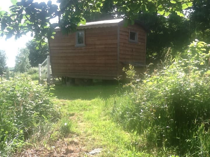 Oak Nest Shepherds Hut At Cuckoo Farm - Kingsbridge