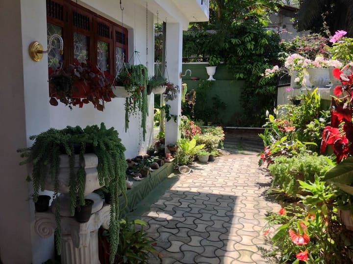 Rise And Shine - Kandy