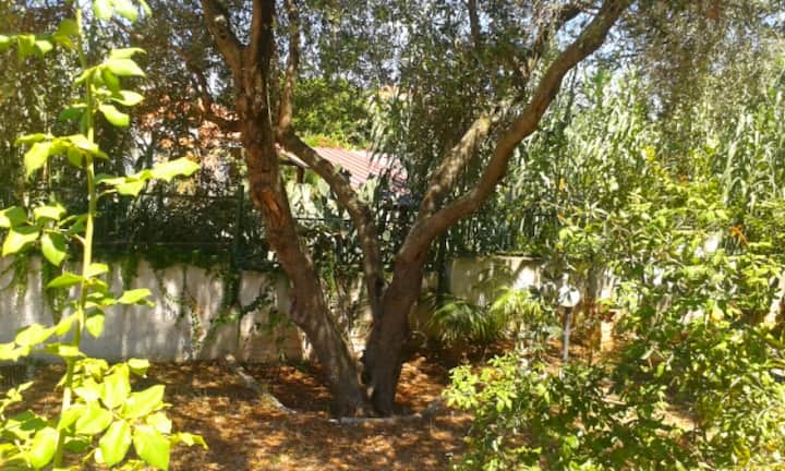 Affitto Appartamento "La Rosa" In Villa Claudia. - Calabre