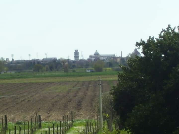 Leaning Tower View- Country House - Pisa