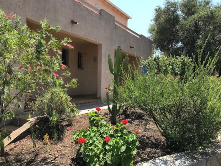 Residence Case Corsicana - Balagne