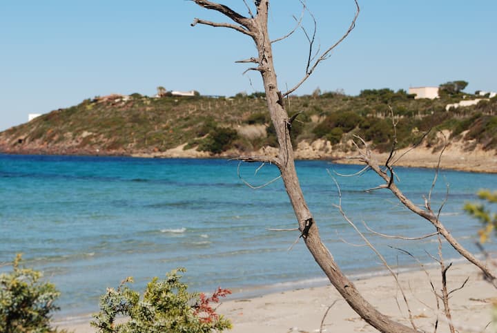 Calasetta Nuova, Indipendente Vicina Alla Spiaggia - Calasetta