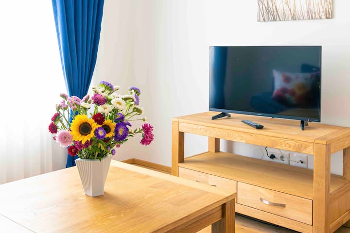 (3) 2-zimmer Queensize-apartment Mit Balkon - Viena