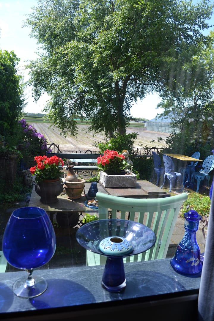 Cosy Place In The Tulip Flower Area - Room 3 - Noordwijkerhout
