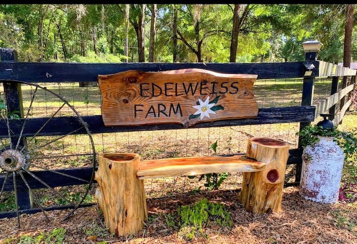 Edelweiss Farm Cozy Efficiency Studio - Withlacoochee State Forest, Brooksville