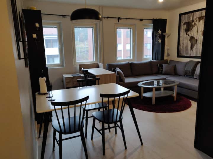Entire Studio 15 Minutes To City Center - Helsinki