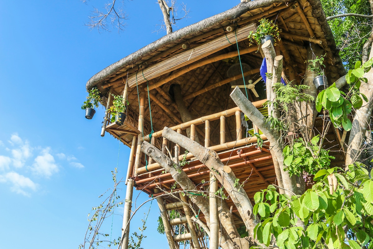 Treehouse by Taal Lake (Kapusod) - Treehouses for Rent in Mataasnakahoy ...