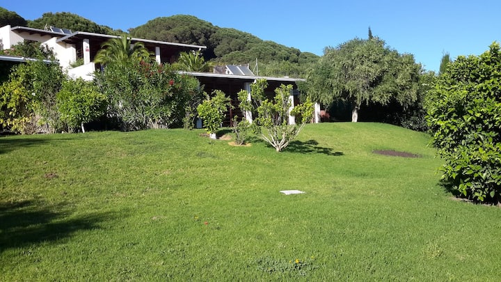 Preciosa Casa Levante Con Piscina - Vejer de la Frontera