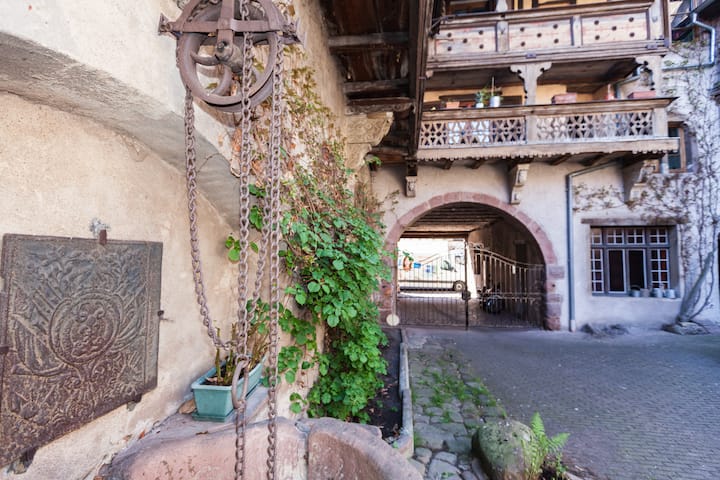 Charmant Studio Au Centre D'obernai - Obernai