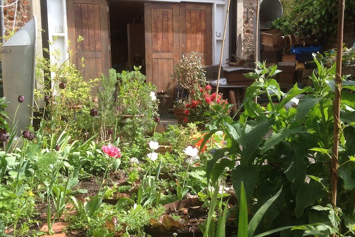 The Coach House Apothecary In Kemptown Brighton - Brighton