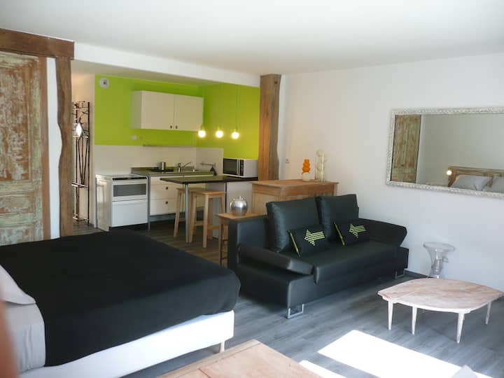 Studio-gite 'Chlorophylle' 3 *** Centre Ville - Châlons-en-Champagne