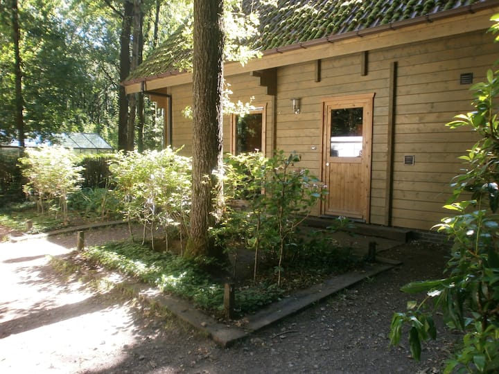 Pied à Terre, Voor Een Onvergetelijke Vakantie! - Kalmthout