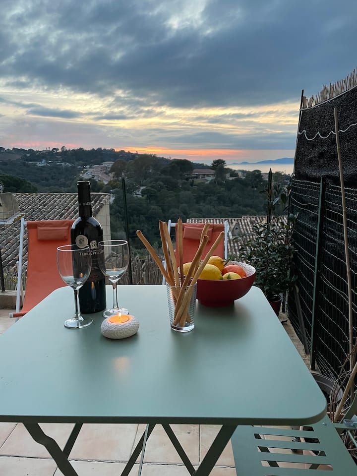 Studio Vue Mer Imprenable Avec Terrasse - Porticcio