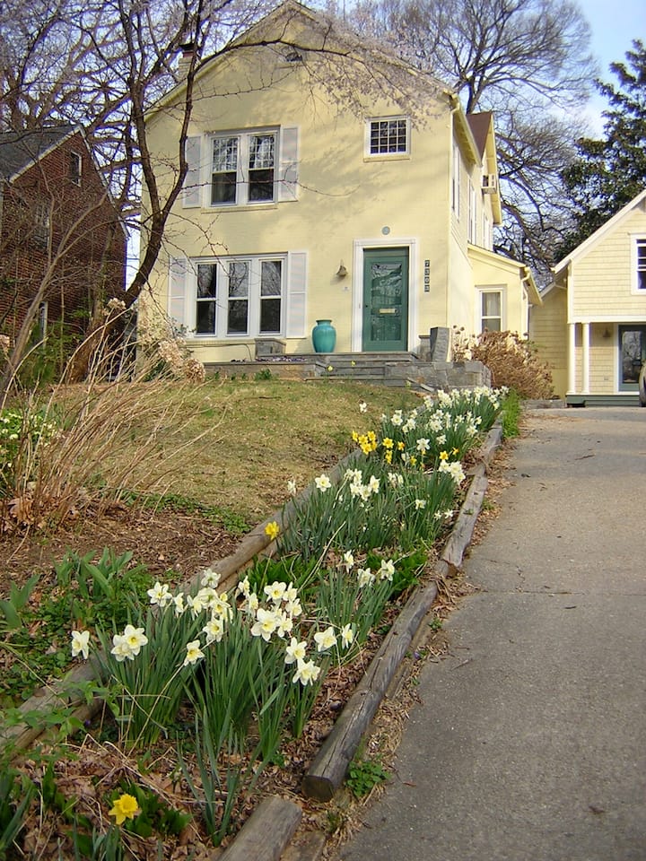 Beautiful Apt. In Historic Takoma - Takoma Park, MD