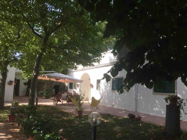 Villa Rosaria - Fasano