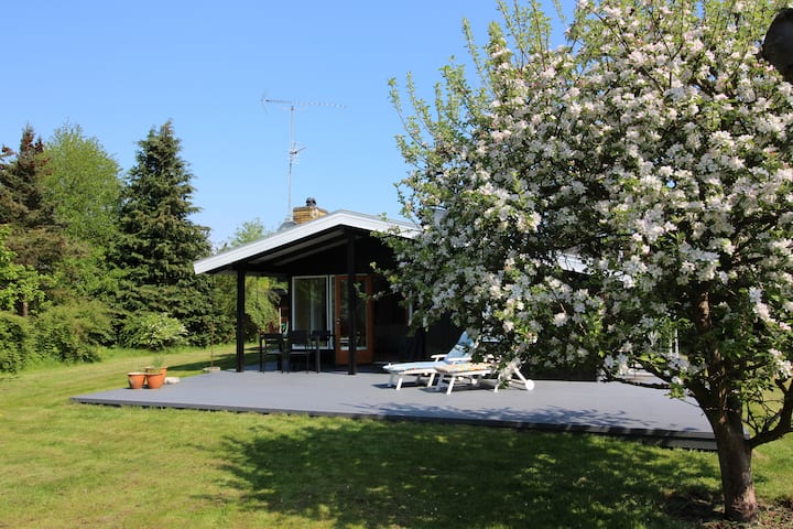 Nyistandsat Sommerhus I Liseleje, Tæt På Strand - Danmark