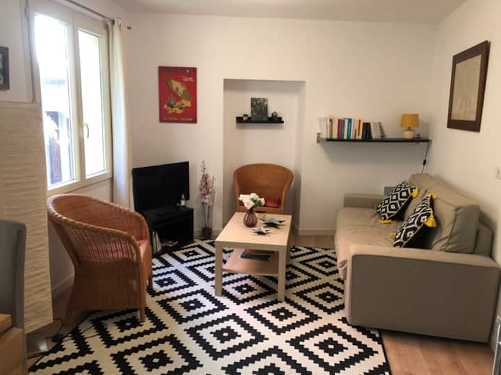 Coeur De Ville Avec Jardin - Avignon