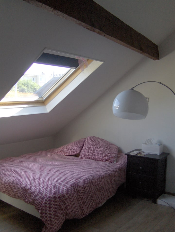 Chambre à Louer Chez L'habitant Avec Un Grand Lit - Le Mans