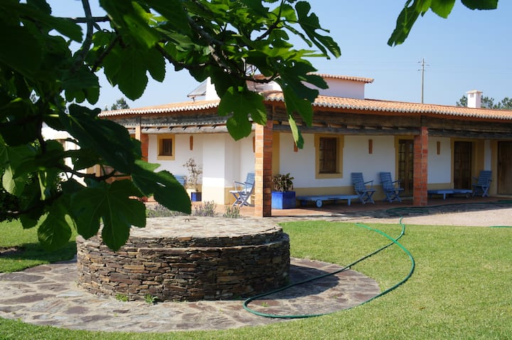 Mil Fontes - Villas - Vila Nova de Milfontes