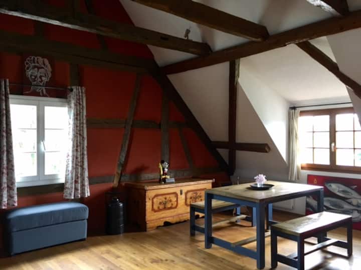 Traditional Huge Alsatian Loft (75 Sqm) - Blotzheim