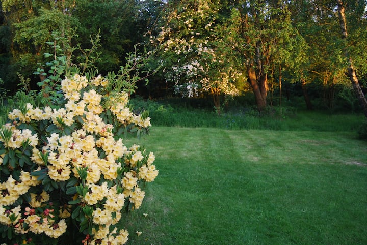 Country Cottage Woodland Garden And Gorgeous Views - Staffordshire