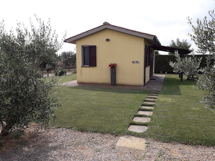 Monolocale In Aperta Campagna - Marina di Grosseto