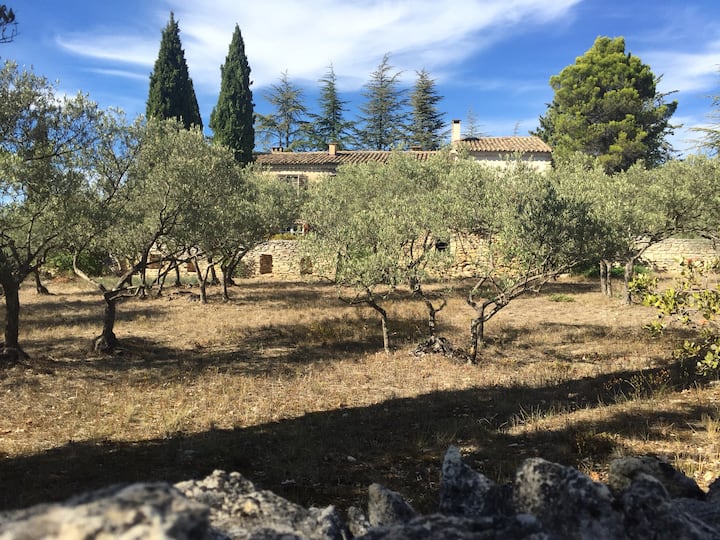 Artists Residence In The Heart Of The Provence - Gordes