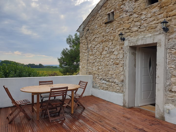 Syrah - Vaison-la-Romaine