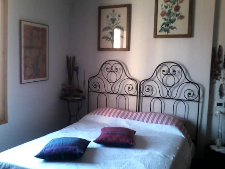 Bologna's Roofs - Bologna