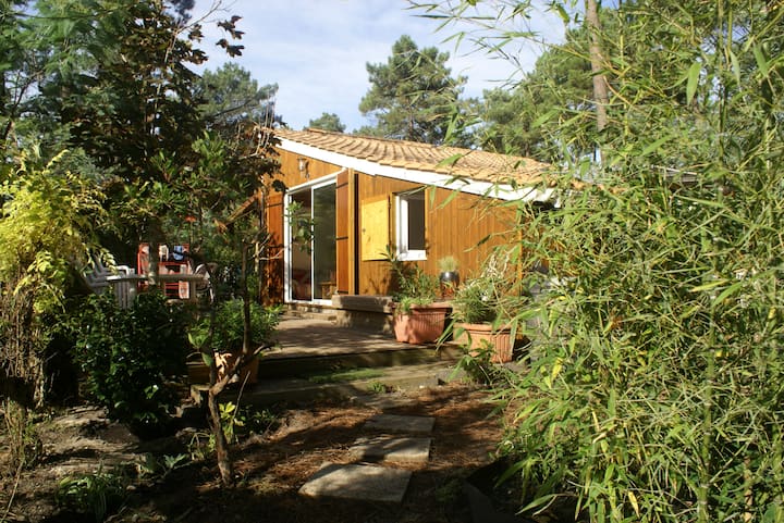 Chalet Dans La Pinède - Carcans