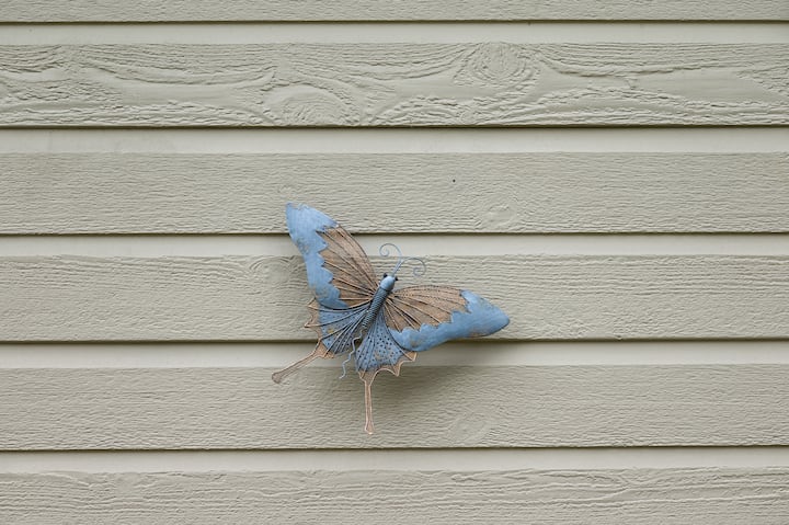 The Place To Be Veluwe - Ermelo