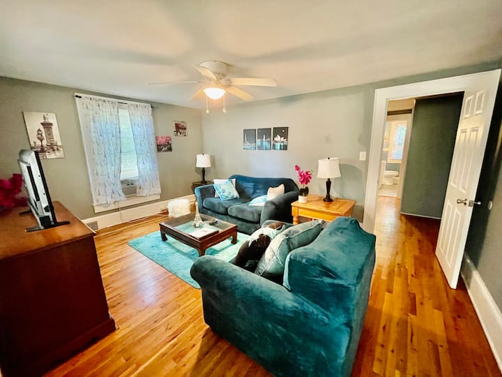 Paris  1-b Apt Near Hospitals And D/town - Winston-Salem, NC