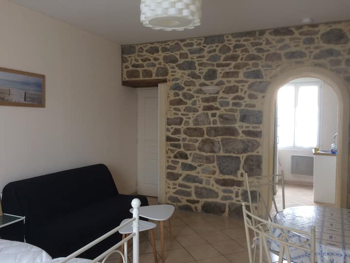Studio - Grande Plage du Sillon