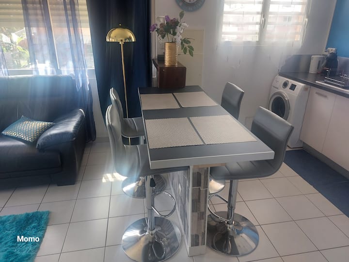 Turquoise - French Guiana