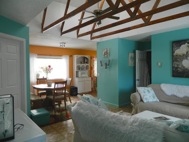 Valley View Apartment - Burt Lake, MI