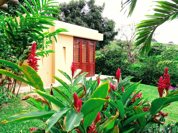 Finca Campestre-la Mesa/anapoima - La Mesa