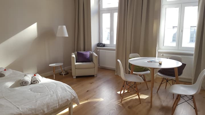Central Historic Newly Renovated Apartment - Wien