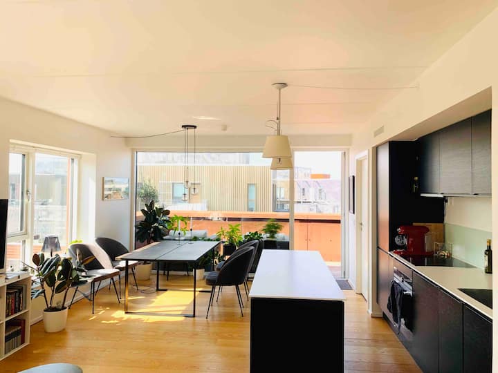 Copenhagen Penthouse - Copenhagen