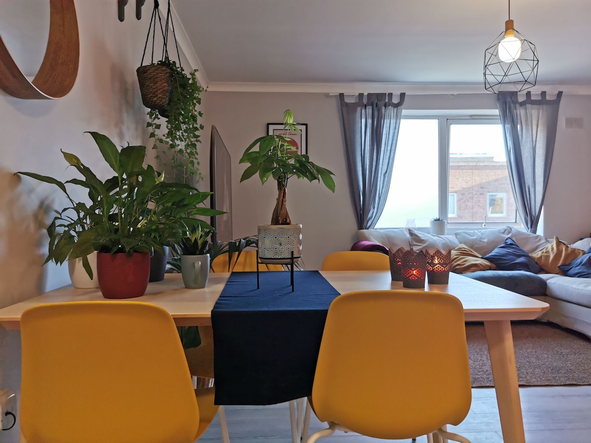 Dublin Apartment Holiday Rentals - County Dublin, Ireland | Airbnb