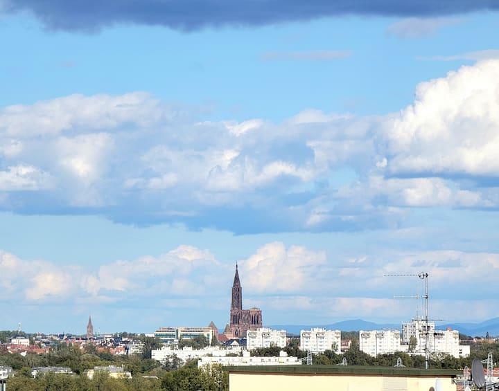 Vue Sur La Cathédrale De Strasbourg-studio - Strasbourg