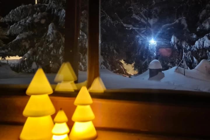 Cosy Privet Apartment - Kopaonik