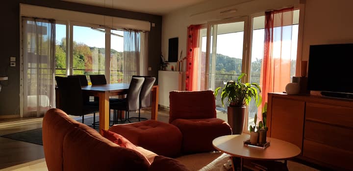 Appartement Avec Une Vue Proche De Genève - Archamps