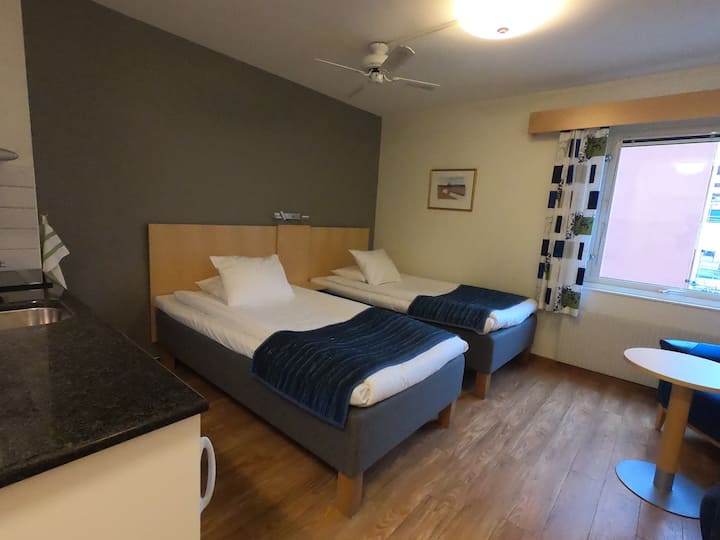 Studio Apartment 213 -