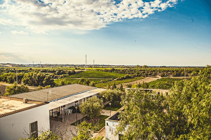 Masseria Battifarano 3 - Nova Siri