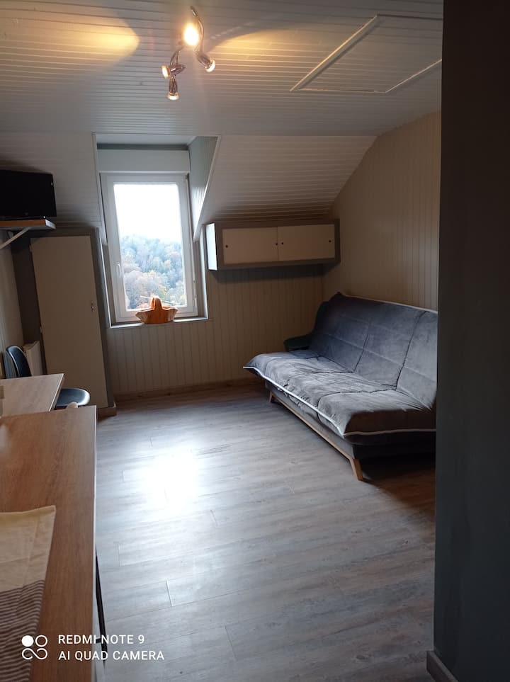 Très Joli Studio Refait à Neuf Avec Terrasse. - Puy de Sancy