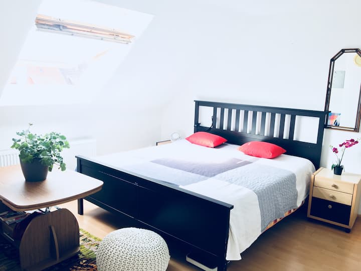 Gemütliche Helle Wohnung In Heidelberg - Heidelberg