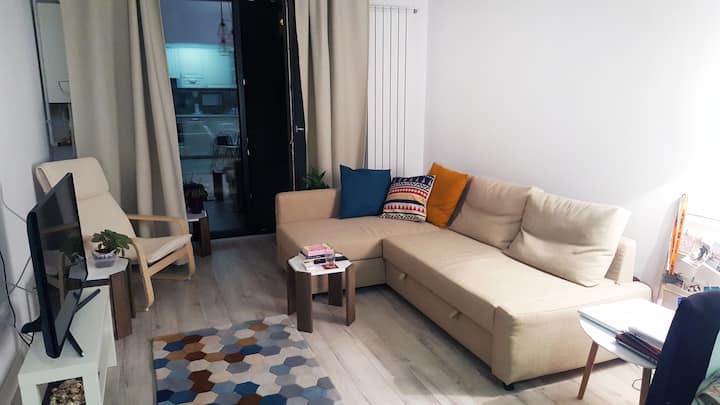 Cozy Apartment On The Side Of Dambovita River - Bucharest