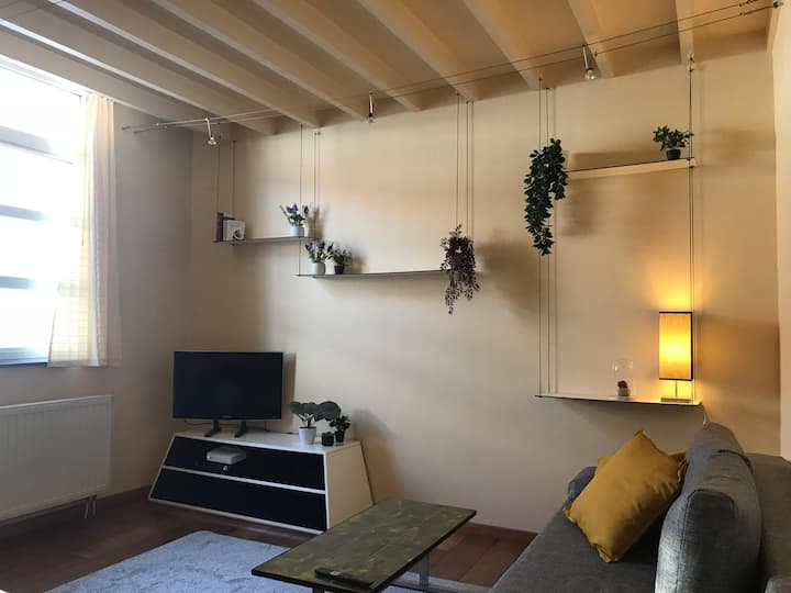Gezellig Bemeubeld Beluikhuisje In Centrum Aalst - Ostflandern
