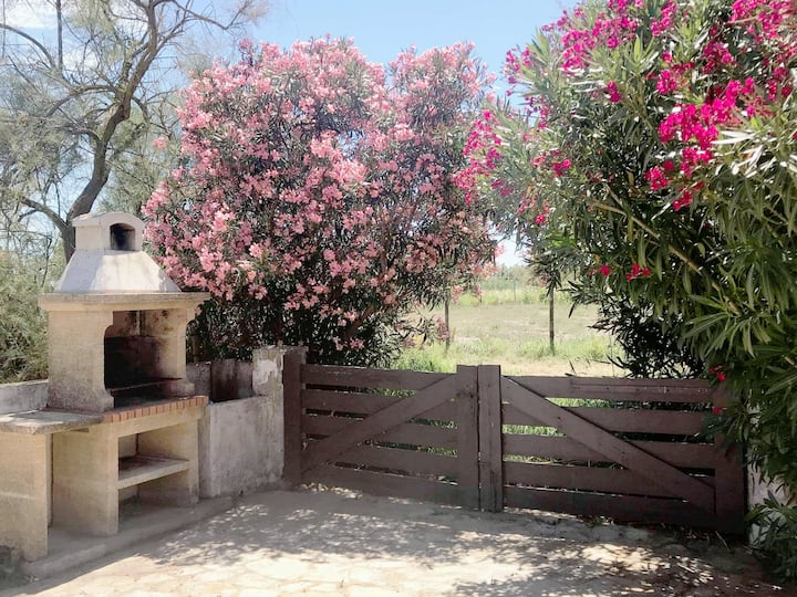 Petite Maison Mitoyenne 4-6 Personnes - Saintes-Maries-de-la-Mer