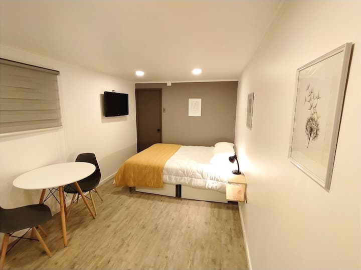 Acogedora Suite Con Entrada Independiente. - Chile